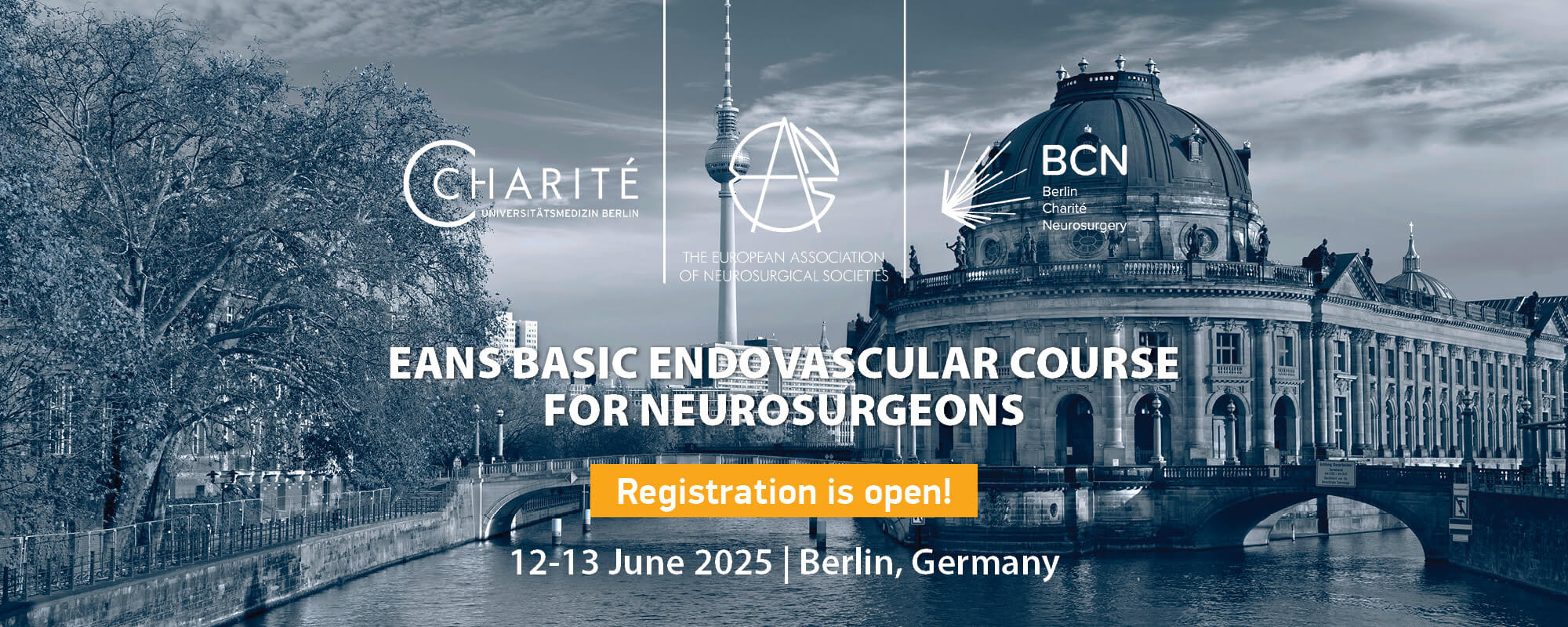 EANS Basic Endovascular Course for Neurosurgeons (Berlin)
